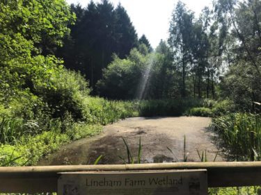 Lineham Farm In Leeds - Leeds Children’s Charity