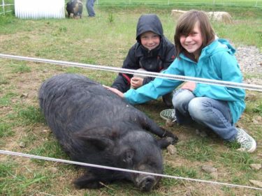 Lineham Farm In Leeds - Leeds Children’s Charity