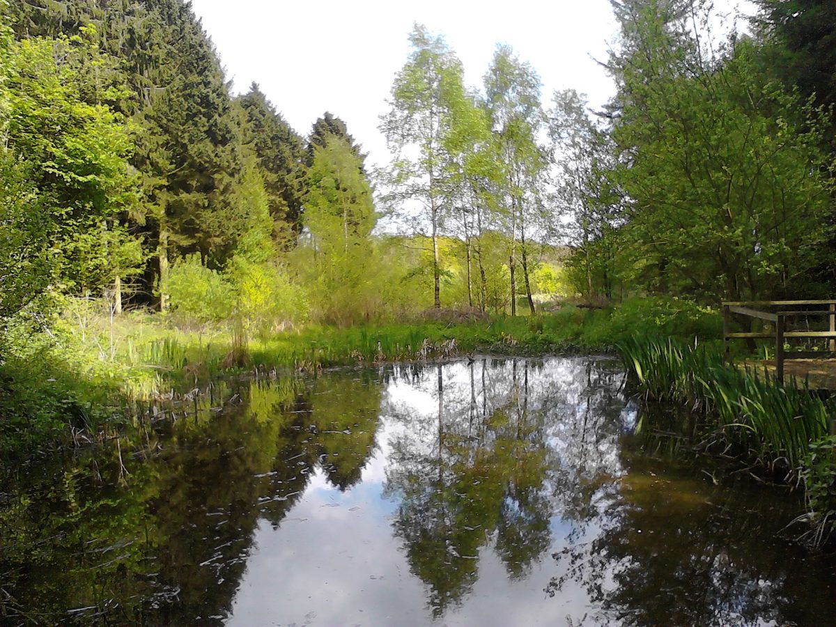 Lineham Farm In Leeds - Leeds Children’s Charity