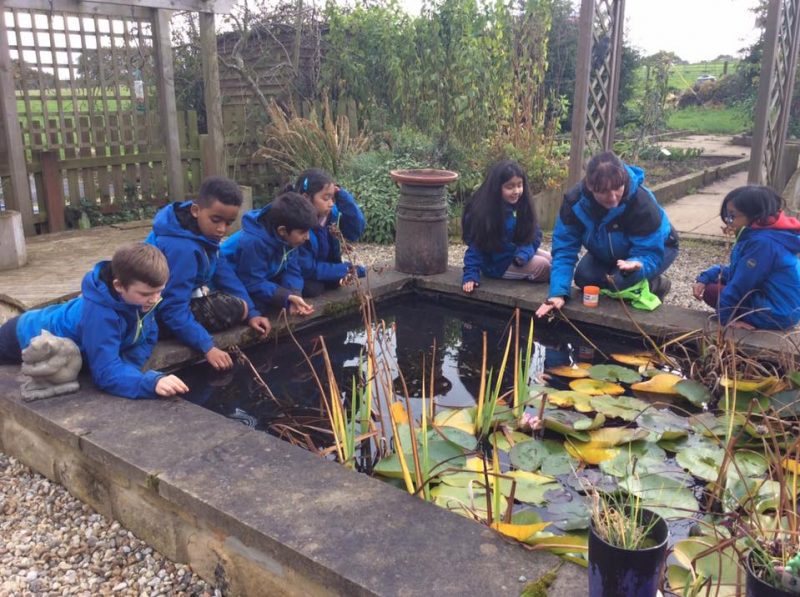 Lineham Farm In Leeds - Leeds Children’s Charity