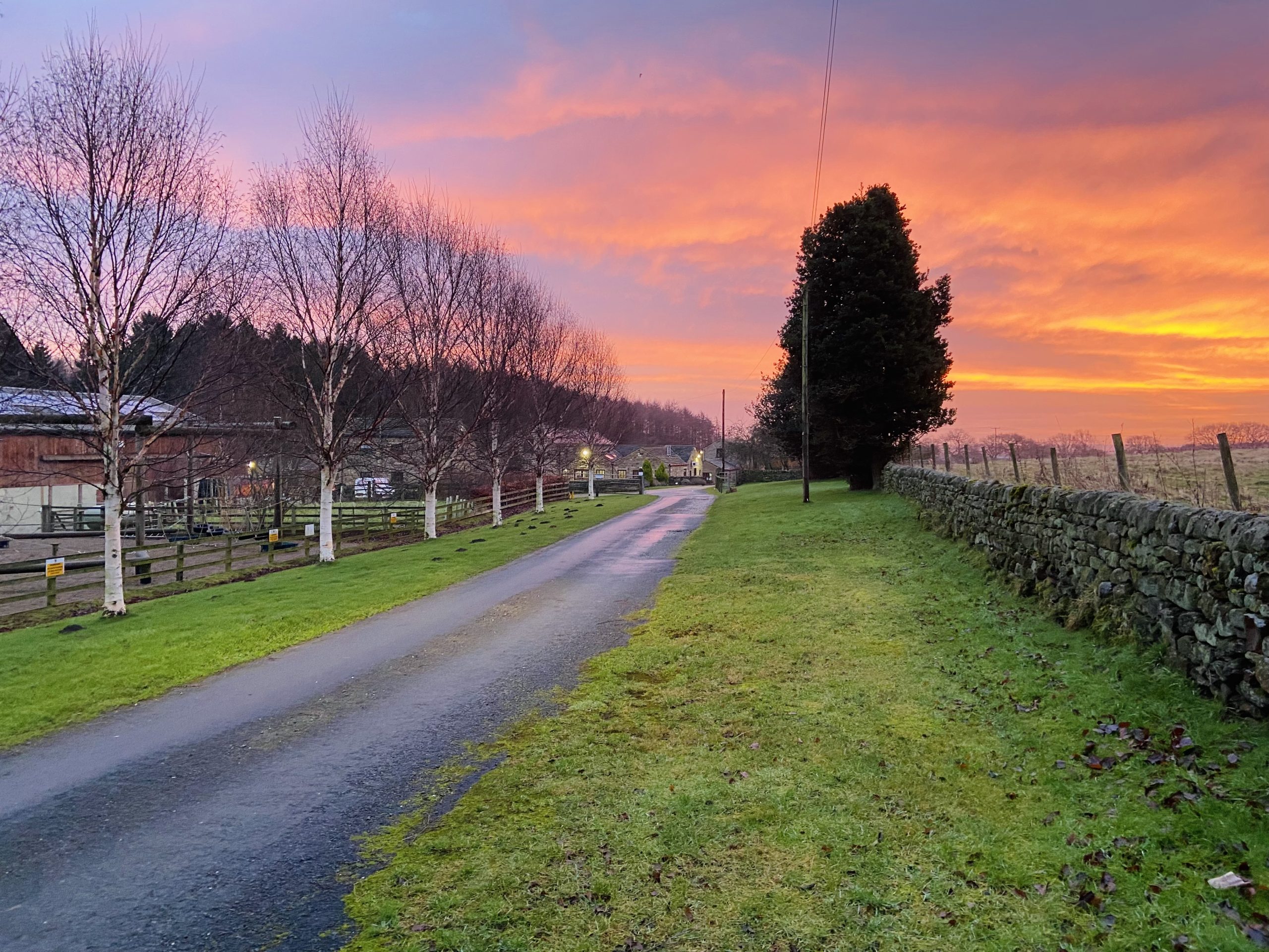 Hope, partnership and thanks: An update from Lineham Farm | Leeds ...